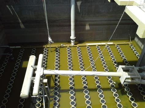 Sbr Decanter At Best Price In Singapore Singapore Bio Cons Pte Ltd