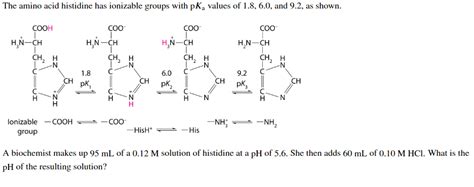 Solved group MIsн mis A biochemist makes up 95 mL of Chegg com