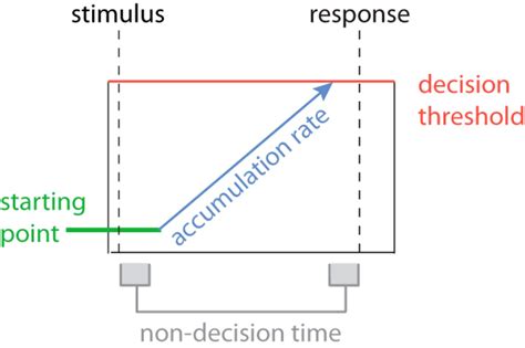 The Temporal Dynamics Of Evidence Accumulation In The Brain Journal