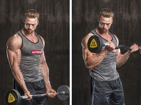 Todo Sobre El Curl Ifbb Academy