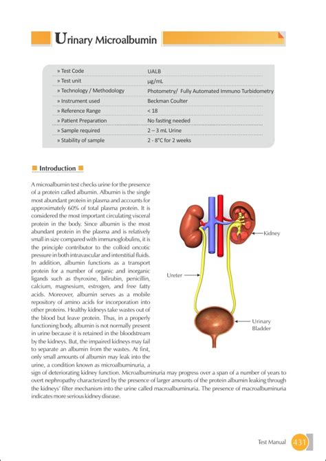 Urinary Microalbumin Test Price Rs685 Thyrocare