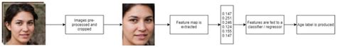 Facial Age Estimation Using Machine Learning Techniques An Overview