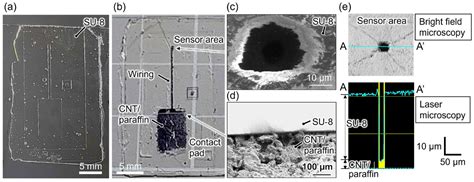 Carbon Nanotube Based Printed All Organic Microelectrode Arrays For Neural Stimulation And Recording