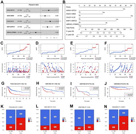 Construction And Experimental Validation Of A B Cell Related Gene Signature To Predict The