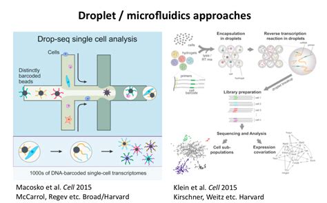 系统学习单细胞转录组测序scrna Seq 一 Public Library Of Bioinformatics