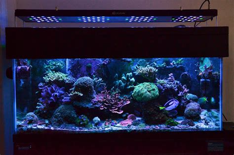 Can Anyone Help Me With A Project Controlling Leds General Guidance