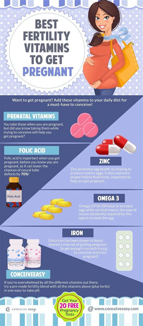 Top 6 Best Fertility Vitamins Artofit
