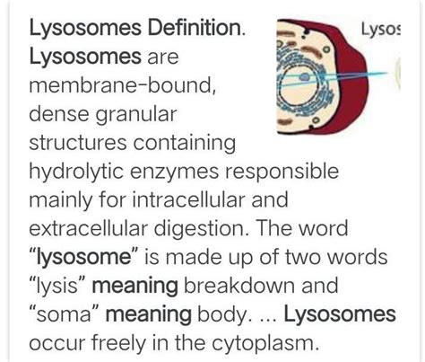 Lysosomes Definition