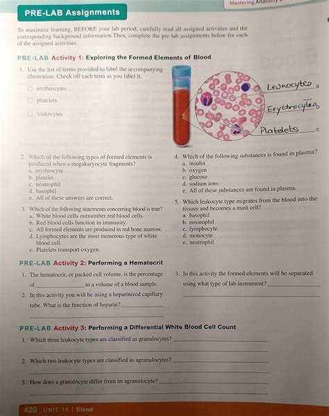 solved mastering anato pre lab assignments to maximize