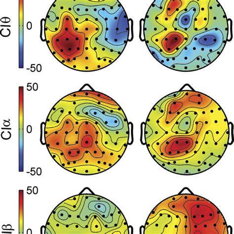 Topographic Illustration Of Modulation Of Cortical Oscillations