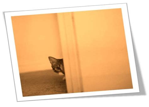 Developing Curiosity With Purpose Curiosity Mind The Gap Purpose