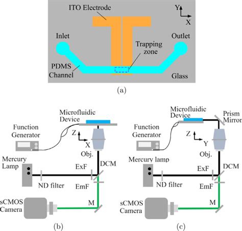 Overview Of The Microfluidic Device And Experimental Setup 2a