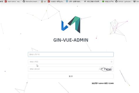 Gin Vue Admin开发教程 01安装与启用 Haimablog 博客园