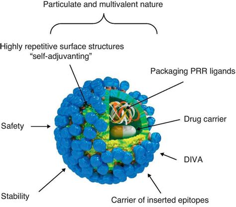 Virus Like Particle Products Creative Biostructure