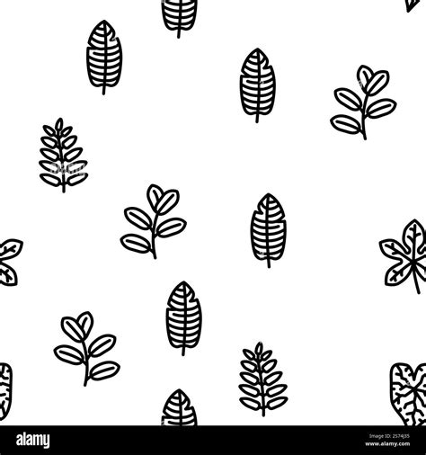 Leaf Tropical Plant Palm Jungle Vector Seamless Pattern Thin Line