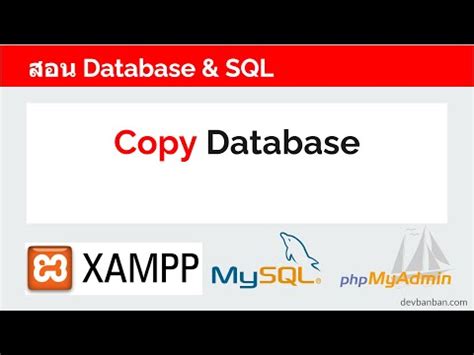 สอน Database SQL Copy Database คดลอกฐานขอมล YouTube