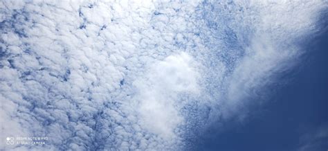 아름다운 파란색 Pixabay의 무료 사진 Pixabay