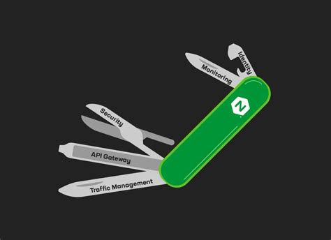 Ingress Controller：kubernetes 的瑞士军刀kubernetesnginx开源社区infoq写作社区