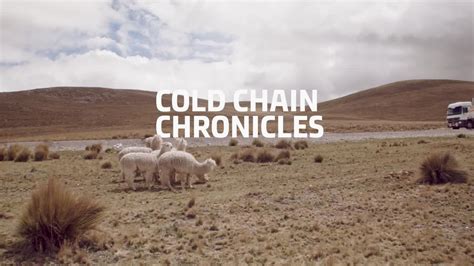 Know More About Our Cold Chain Logistics Solutions Ap Moller Maersk