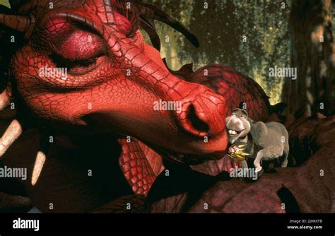 Donkey And Dragon Shrek