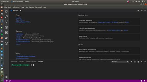 setting up dotnet core on ubuntu writing hello world in any