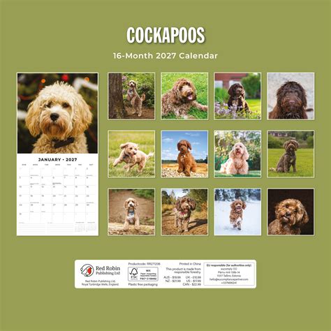 2027 Cockapoos Square Wall Calendar