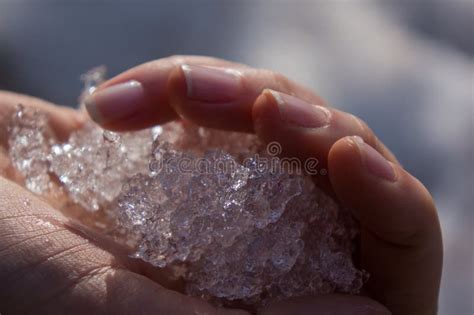 Frozen Hand Stock Image Image Of Person Season Adult 62845075