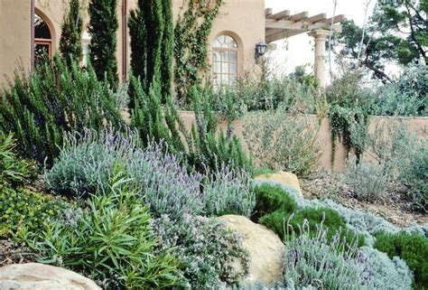 Shade Loving Plants For Mediterranean Gardens At Angela Yamamoto Blog