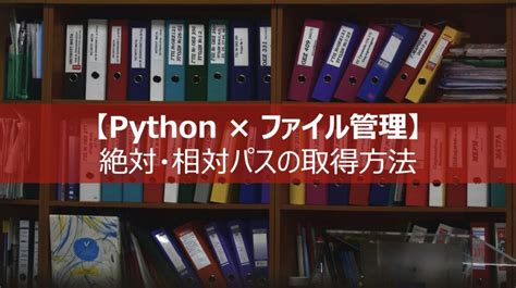Python絶対相対パス取得カレントディレクトリのアクセス方法ospathモジュールによるファイル操作入門 DXCEL WAVE