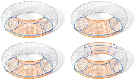2 Curve Networks In This Example Only The Top Left Curve Network Is Download Scientific