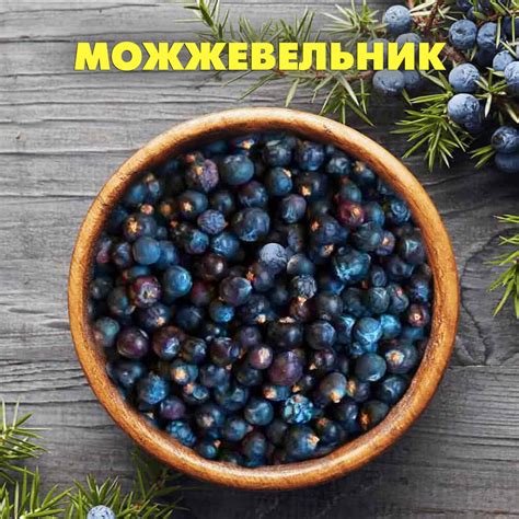 GREEN LEAF Можжевельник плоды, 100 гр / Ягоды сушеные можжевельника ...