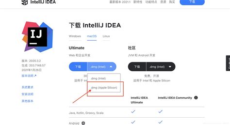 怎么在2020Mac M1中安装jdk 开发技术 亿速云 怎么在2020Mac M1中安装jdk 开发技术 亿速云