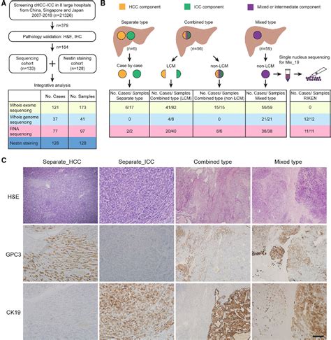 Figure 1 From Genomic And Transcriptomic Profiling Of Combined