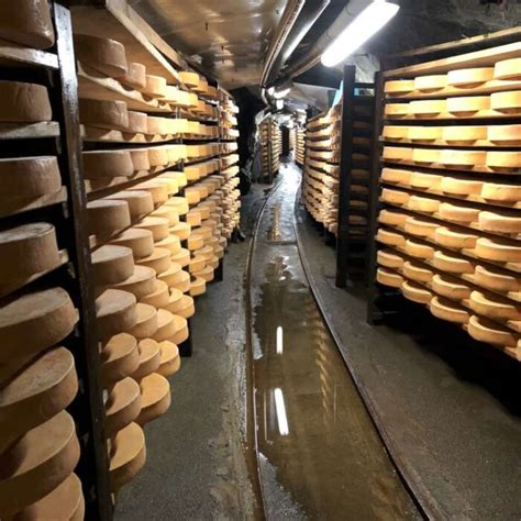 Funivia Cervinia Plateau Rosà Salita Con Guida Guida Turistica Valle Daosta