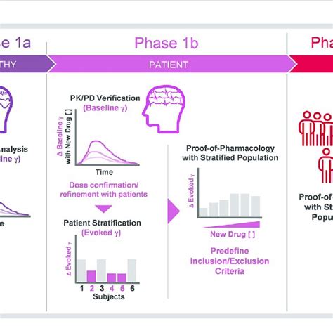 Proposed Workflow Of Gamma Oscillation Analysis In Future Clinical Download Scientific