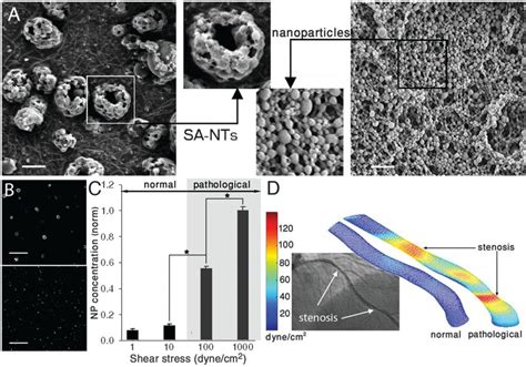 F1 Large Mapping Ignorance