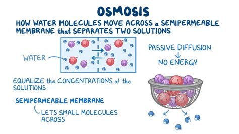 Video Osmosis Osmosis