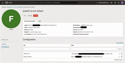 Write Logs To Oracle Cloud Infrastructure Private Stream Using Oracle Cloud Infrastructure Functions