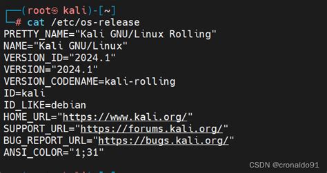 网络安全： Kali Linux 使用 Nmap 扫描目标主机kali扫描局域网存活主机 Csdn博客