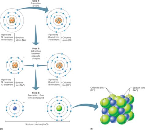 Bio 163 Ch 2 Bonding Of Atoms Flashcards Quizlet