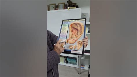 씨앗도사 건강법 이침 혈 발반사점 Youtube