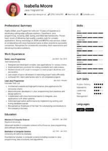 Java Programmer Resume Examples And Templates For CVDesigner Ai