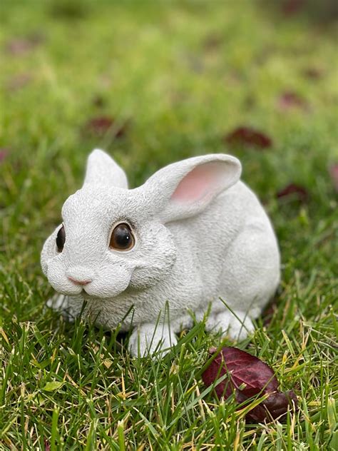 ᐉ Фігура садова ДомФигурок Зайчик Білий 740 1 • Краща ціна в Києві Україні • Купити в Епіцентр