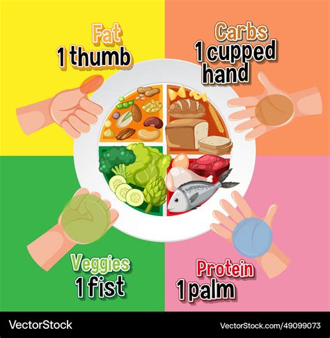 Hand Portion Size Guide For Healthy Eating Vector Image