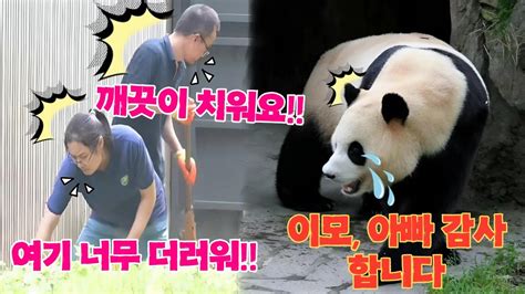 푸바오는 청소를 하고 있는 아버지와 이모를 보고 갑자기 울음을 터뜨렸다 💦💦💦 푸바오 씨는 어떻게 된 거예요 Youtube