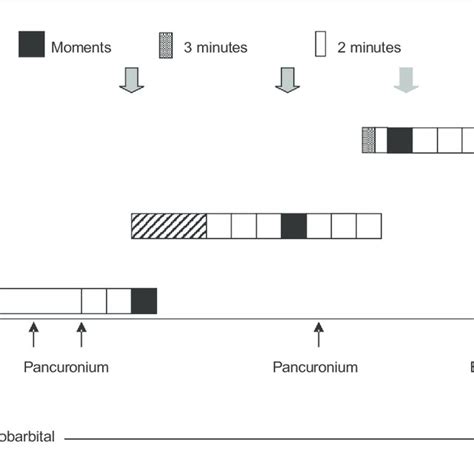 Sequence Of The Experiment Download Scientific Diagram
