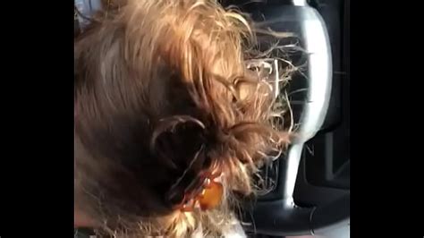 Amateur Road Head Videos