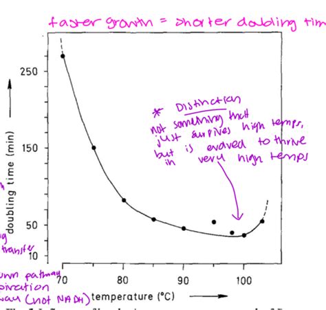 Pyrococcus Furiosus Flashcards Quizlet