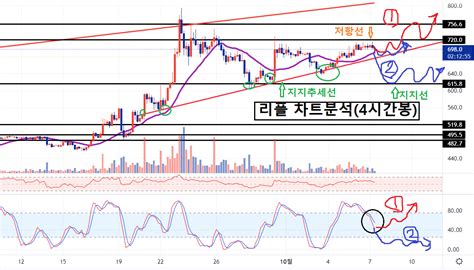 리플xrp코인 차트 완벽 분석 리플 코인의 전망은 어떻게 될 것인가 리플 코인 차트 분석을 통해 앞으로의 리플 가격을 알아보자