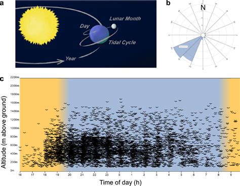 Timing Of Migration A Migration As A Periodic Process Is Linked To